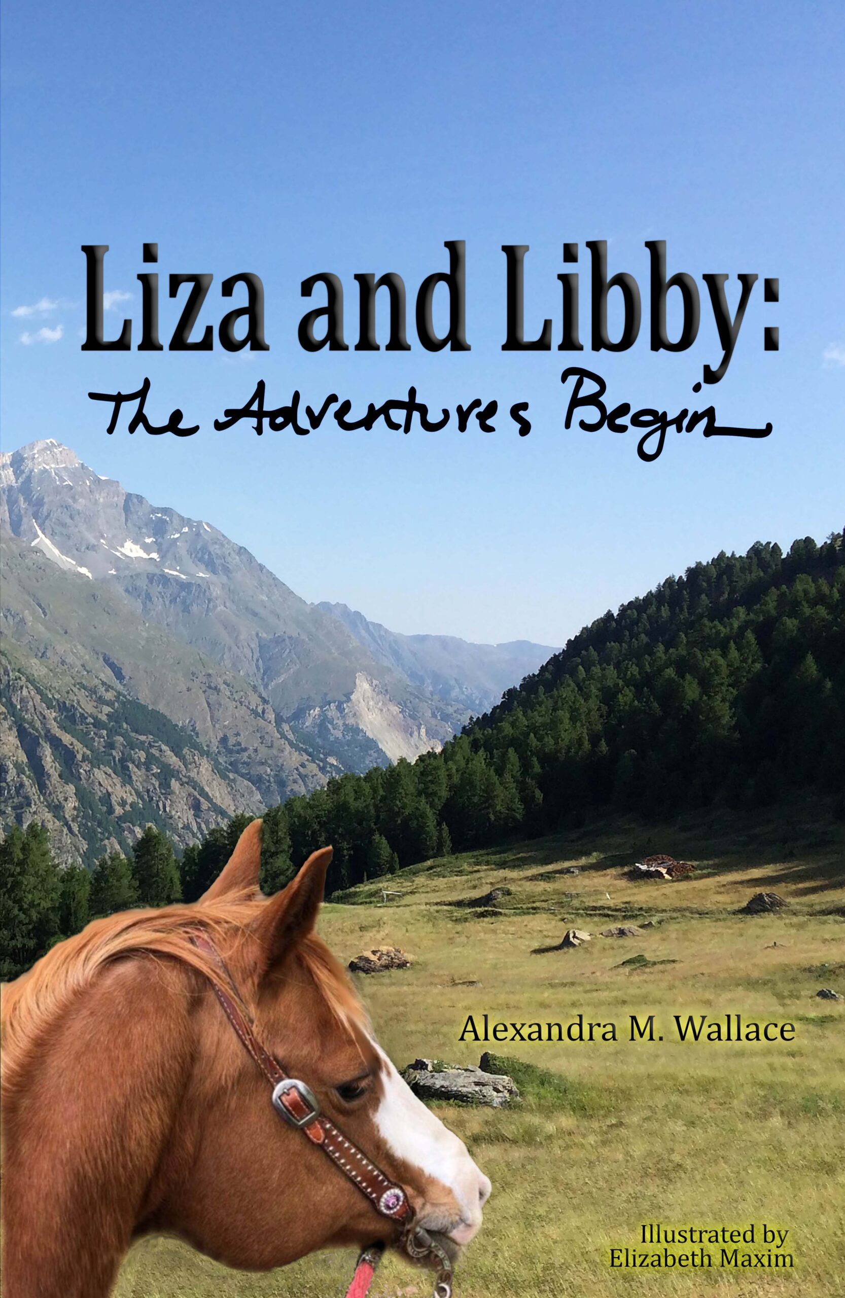 Liza and Libby: The Adventures Begin - The "Liza and Libby Adventures ...